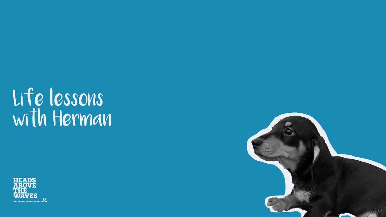 Life Lessons with Herman - YouTube