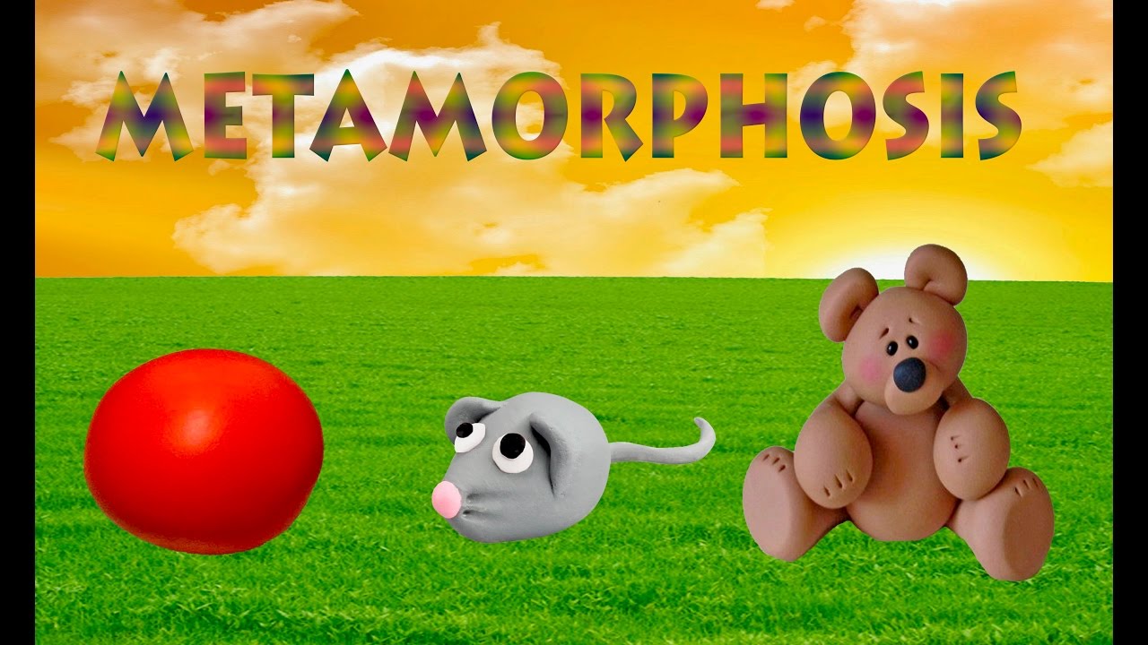 Metamorphosis: Stop Motion Animation (Claymation) - YouTube