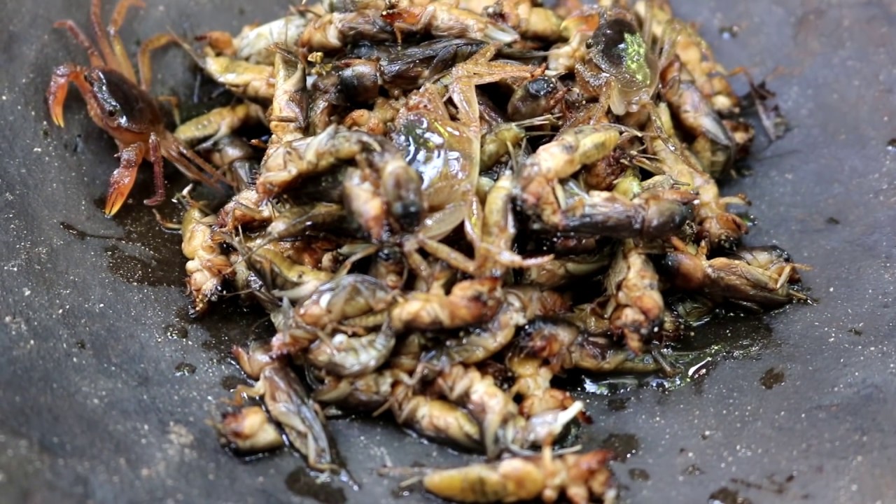 Survival skills: Find insects in the ground & fried for food - Cooking ...