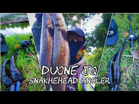 Snakehead Top Water Angling, Channa Striata Dalag/ Haruan/ Gabus ...