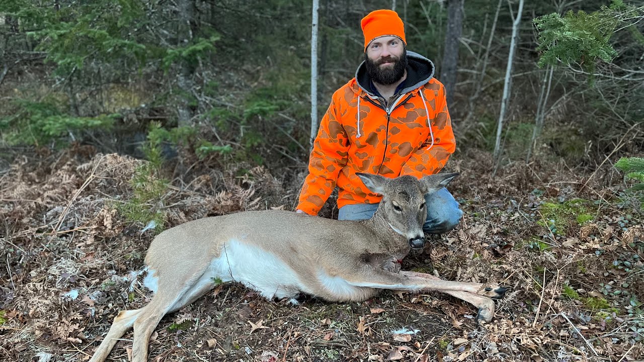 2024 Wisconsin Deer Rifle Season part 2 - YouTube