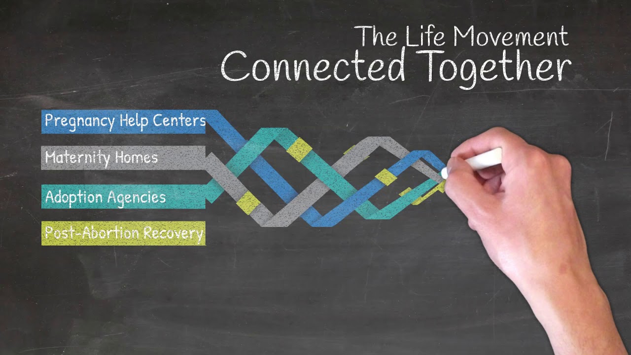 How the Life Movement is All Connected - YouTube