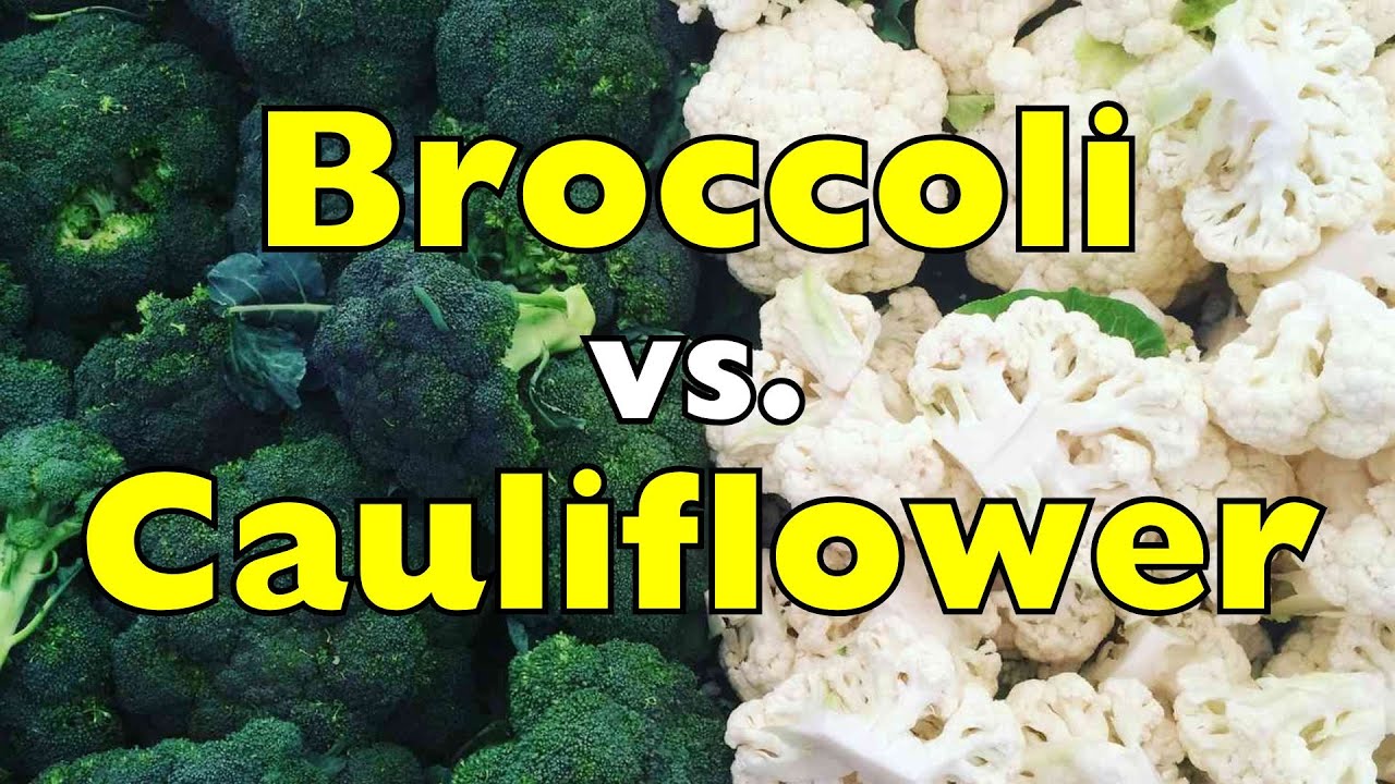 Broccoli vs. Cauliflower — Same Plant, Completely Different Vegetables ...
