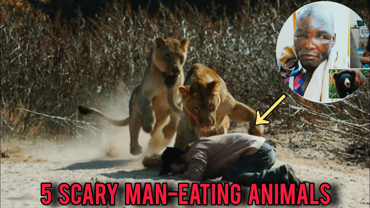 5 Scary Man Eating Animals - Part 1 - YouTube