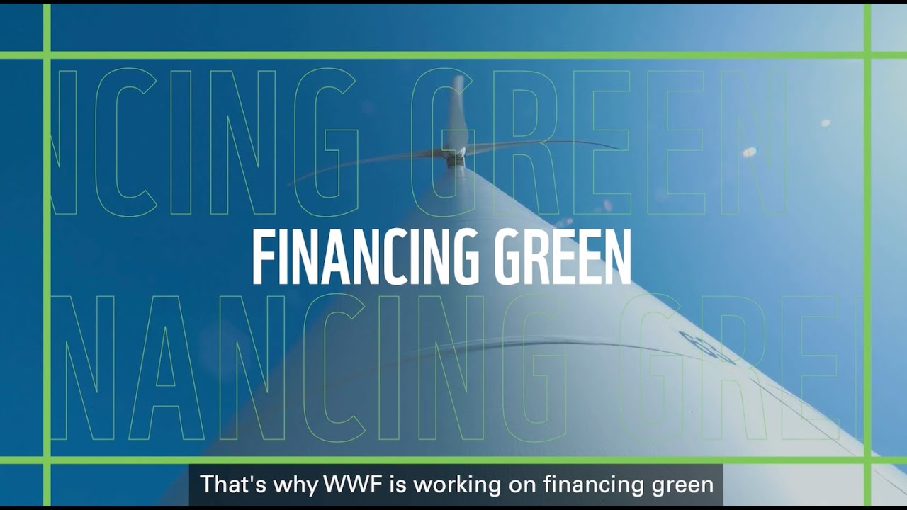 Financing Green - FULL version - YouTube