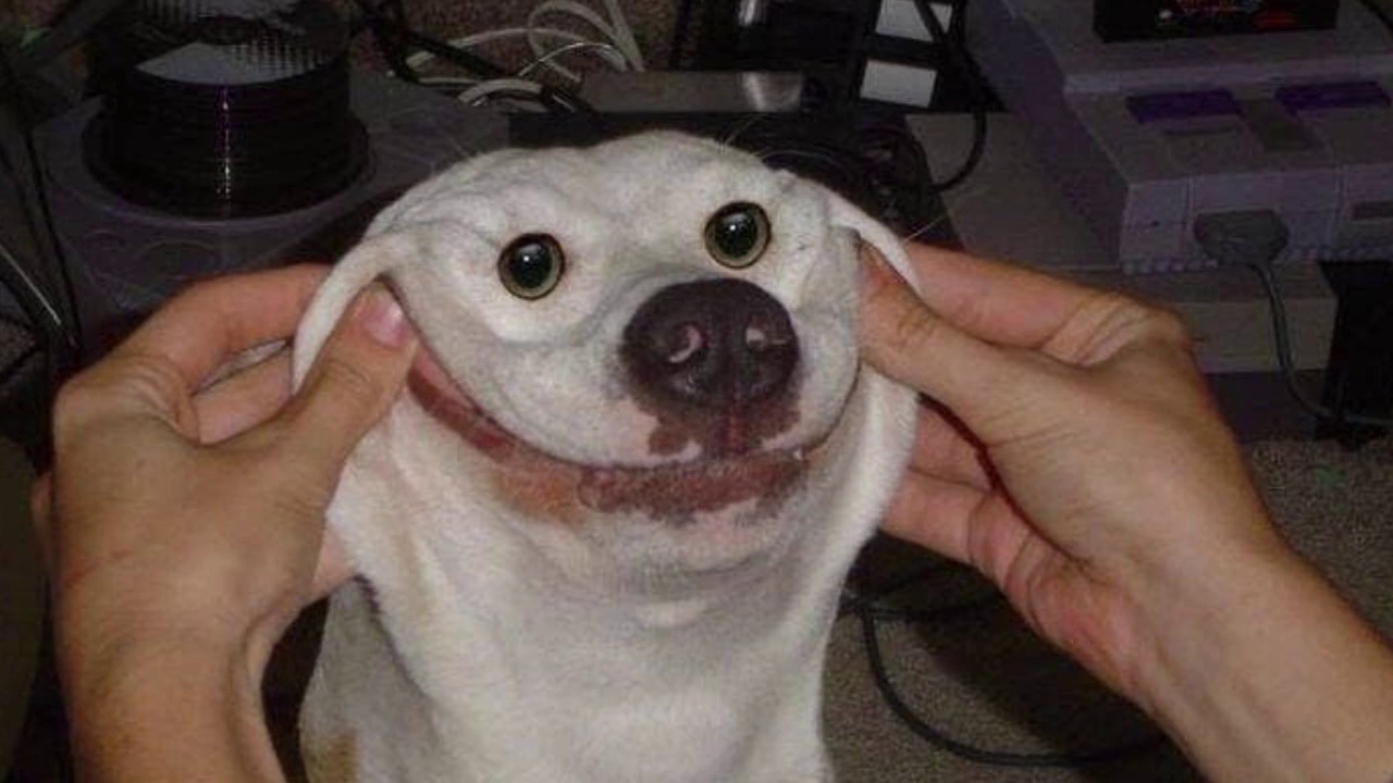 CURSED IMAGES FROM ACROSS THE INTERNET VOL. 1 - YouTube