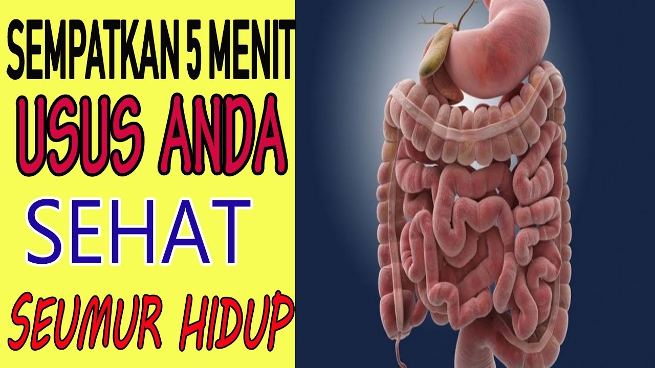 SEMPATKAN WAKTU 5 MENIT SAJA !!LAKUKAN INI USUS AKAN SEHAT SECARA ALAMI ...
