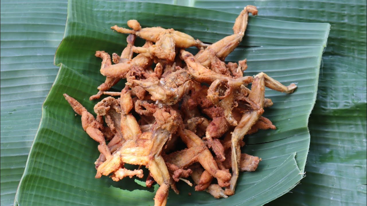 Buhay bukid(Palakang bukid)hinuli at linuto - YouTube
