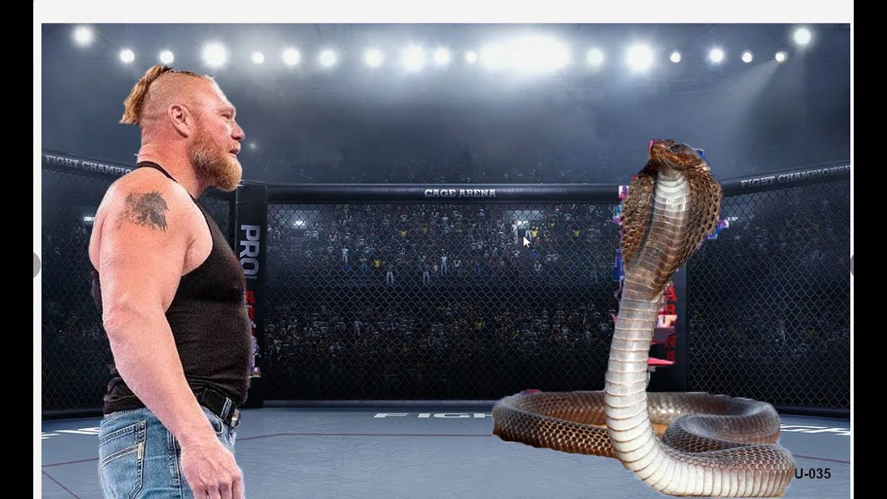 Brock Lesnar vs Cobra - Best WWE Matches of All Time - YouTube