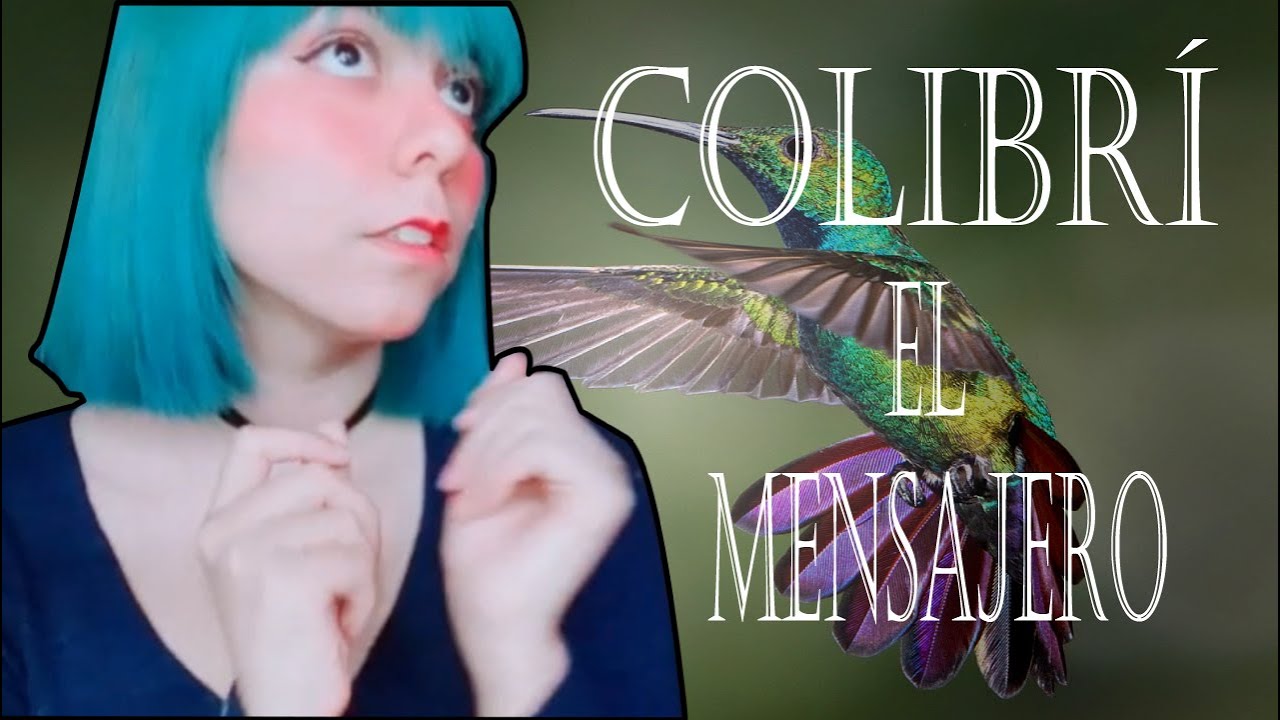La Leyenda Maya del Colibrí: El Mensajero de Almas, el Colibrí - YouTube