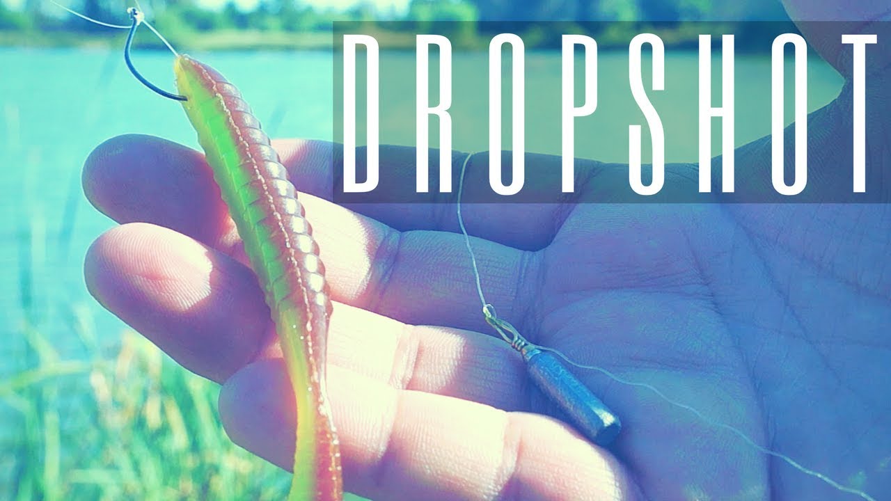 How to Fish the Drop Shot Rig - YouTube