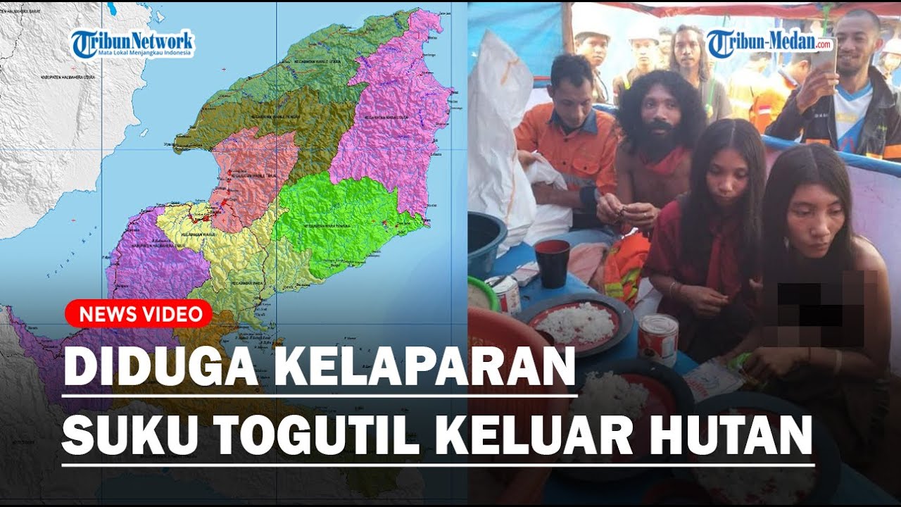 VIRAL Suku Togutil Diduga Keluar Hutan Karena Kelaparan, Muncul di Area ...