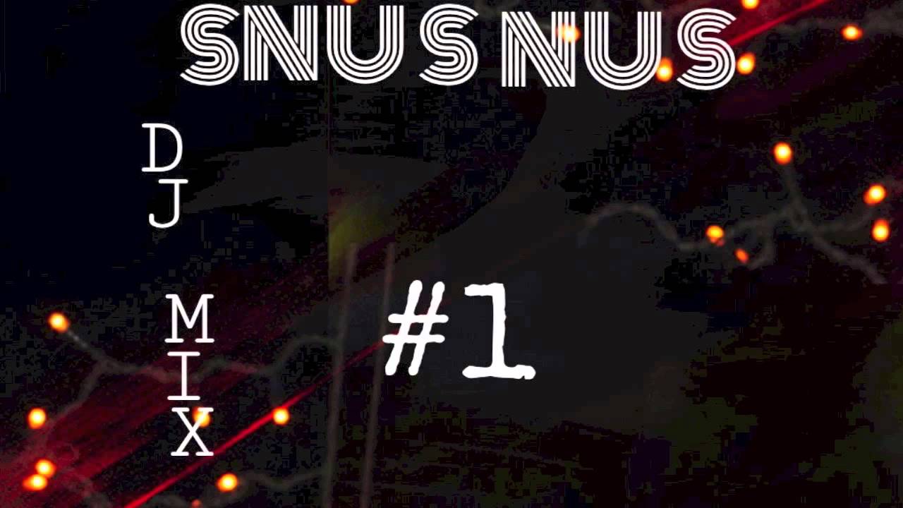Dj mix 1 Snus nus - YouTube