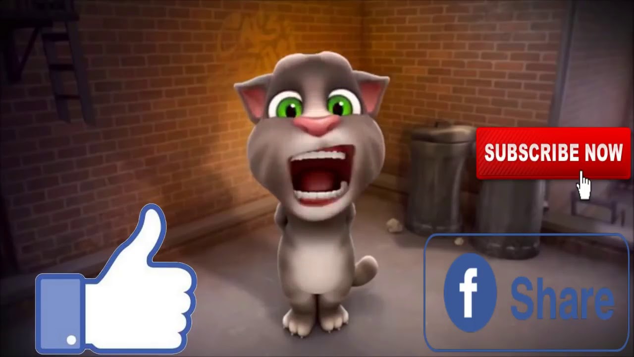 talking tom funny paad song talking tom funny pad talking tom pad paad ...