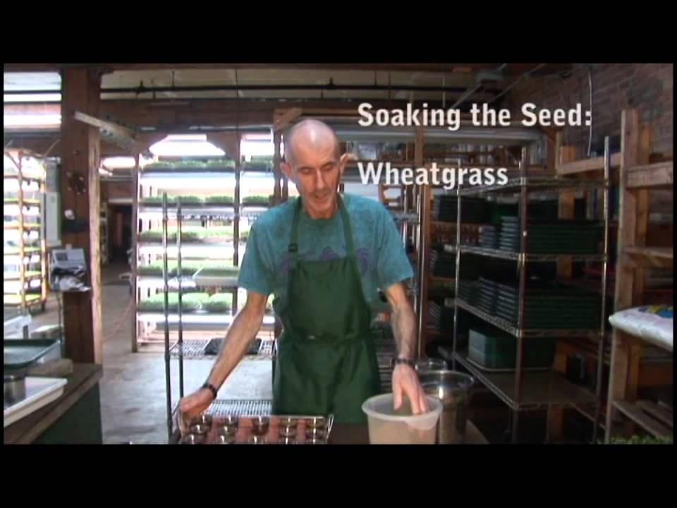 Hands on Sprouting part 1 - YouTube