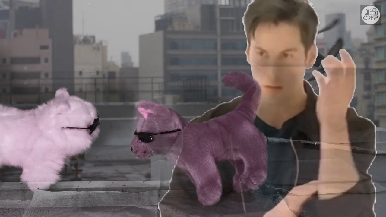 Best of The Matrix ft. Cute Cats - YouTube
