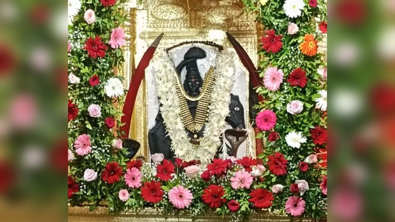 LIVE || Jay Goga Maharaj || 24/8/2024 - YouTube