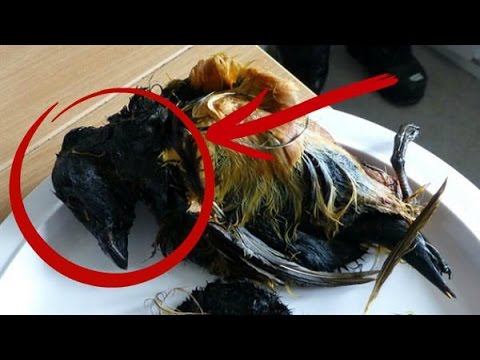 What Are The World's Most SMELLY Foods? 5 Foul Foods - YouTube