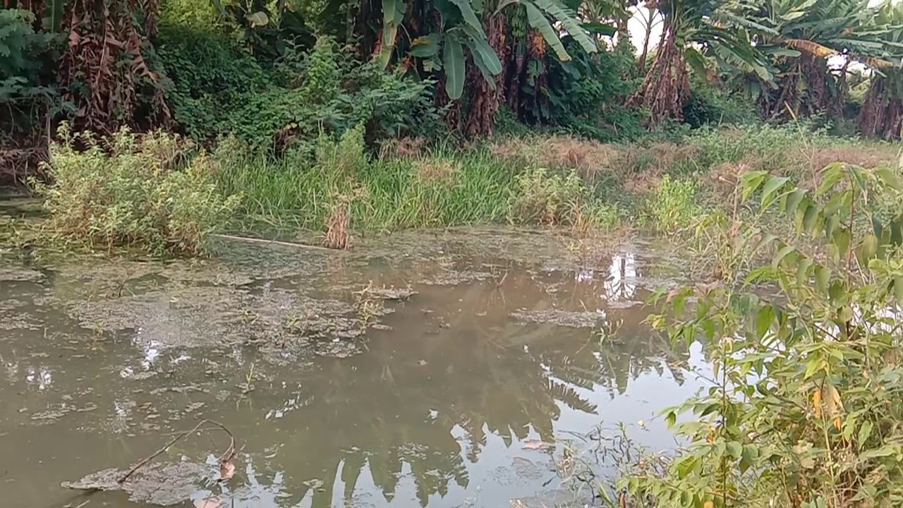 MANCING KERIBUTAN🐬🐟🦈🐡🐋 - YouTube