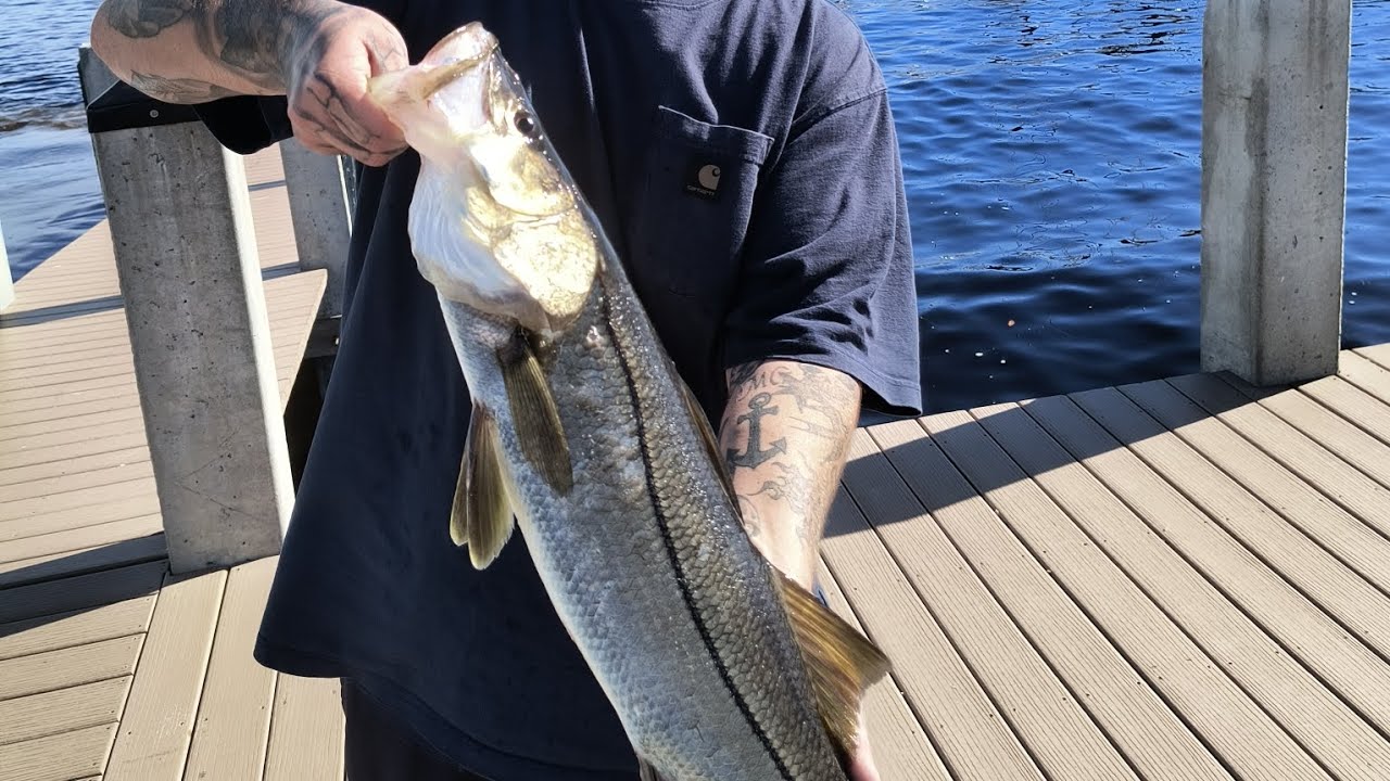 Snook season opening day with the brodie! 😎🌴☀️ - YouTube
