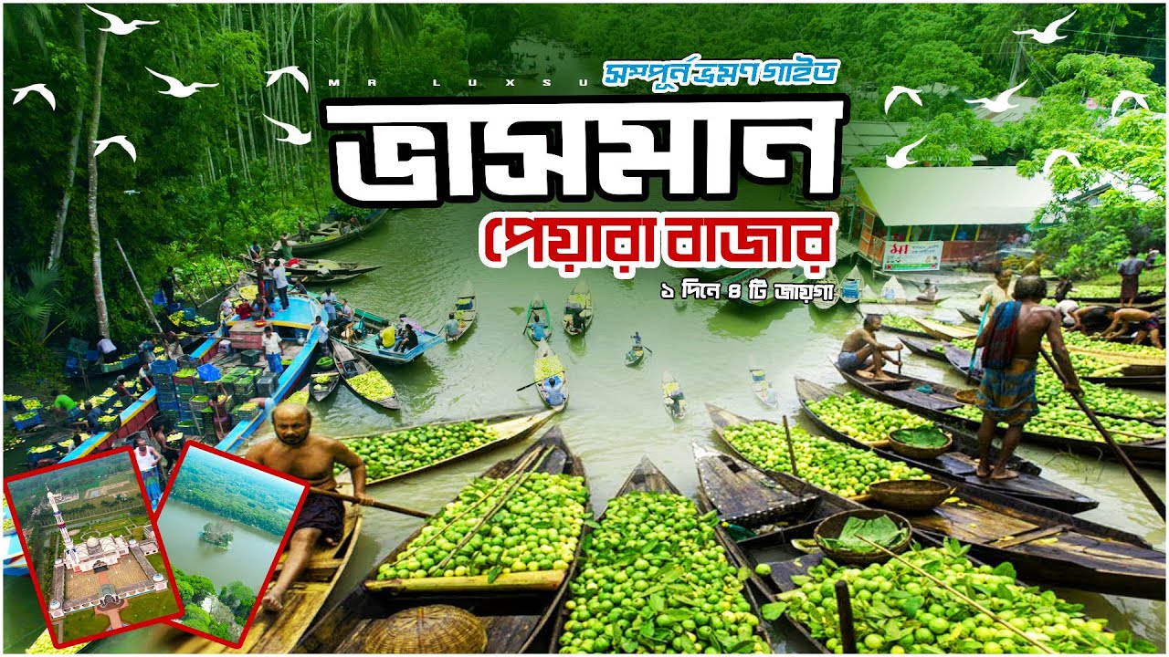 Vasoman Peyara Bazar । ভাসমান পেয়ারা বাজার । The Biggest Floating Guava Market In BD । Mr Luxsu ...