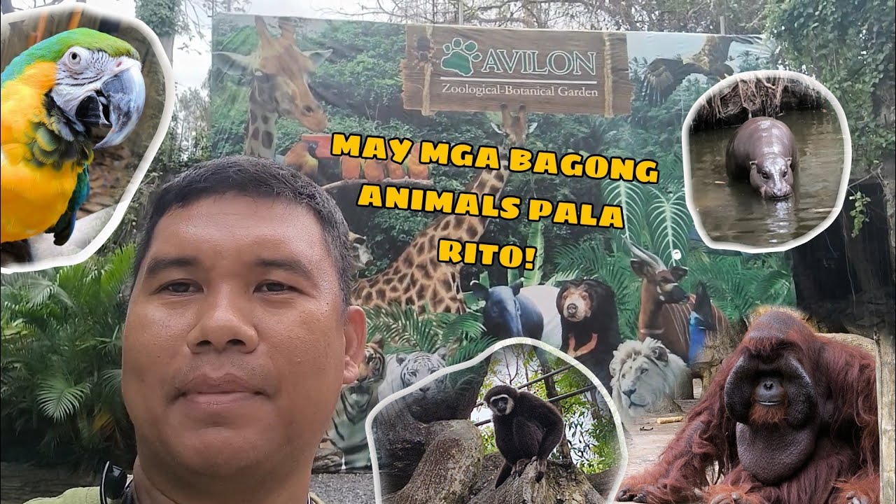 AVILON ZOO: THE LARGEST ZOOLOGICAL PARK IN THE PHILIPPINES - YouTube