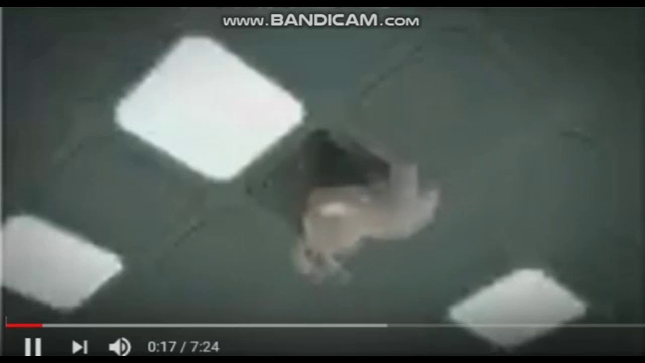 Rabbids Invasion Reboot - Sparta Remix - YouTube