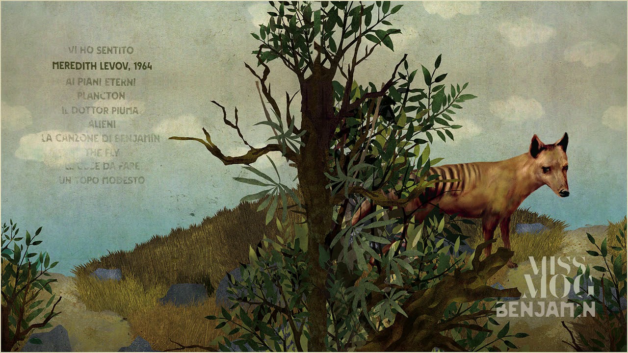 Meredith Levov, 1964 | Miss Mog | (Benjamin 07/2020) - YouTube