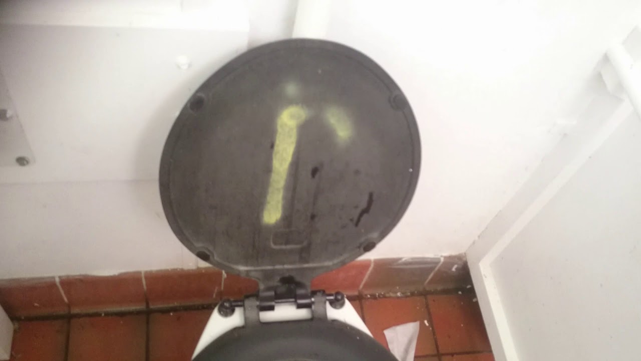 HL flushing Trough with Armitage Ware pans - YouTube