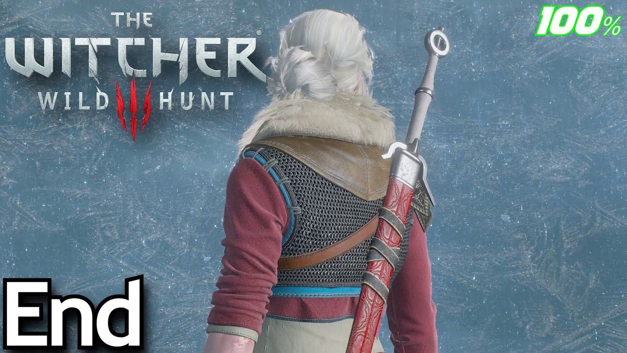 The Witcher 3: Wild Hunt 100% Death March Walkthrough Witcher Ending ...