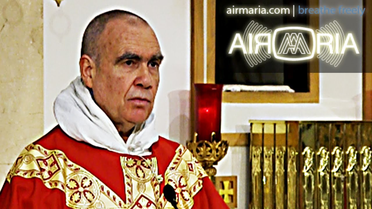 The Essence of Priestly Duty - Nov 12 - Homily - Fr Andre - YouTube
