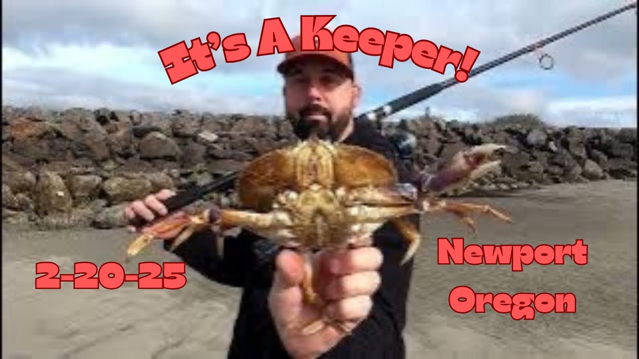 Wild Day On The Newport Jetty Snaring Crab! #crabbing #snare #saltwater ...
