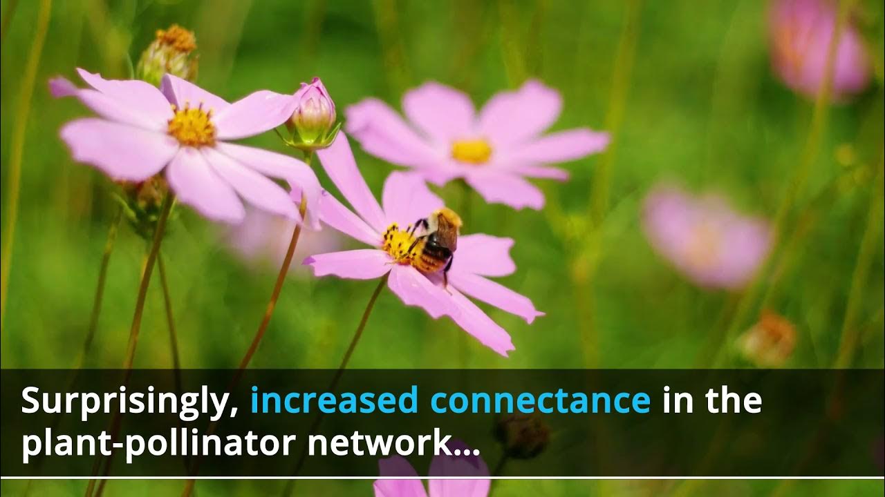 Landscape Simplification Shapes Pathogen Prevalence In Plant Pollinator