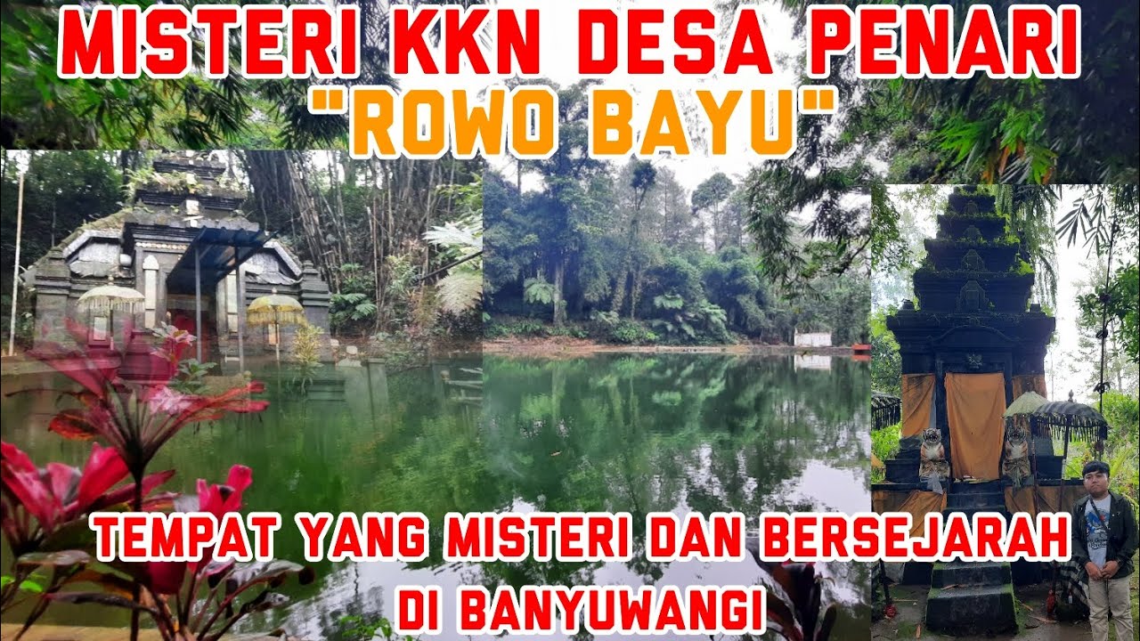 MISTERI KKN DESA PENARI, ROWO BAYU BANYUWANGI DESA PENARI⁉️ - YouTube
