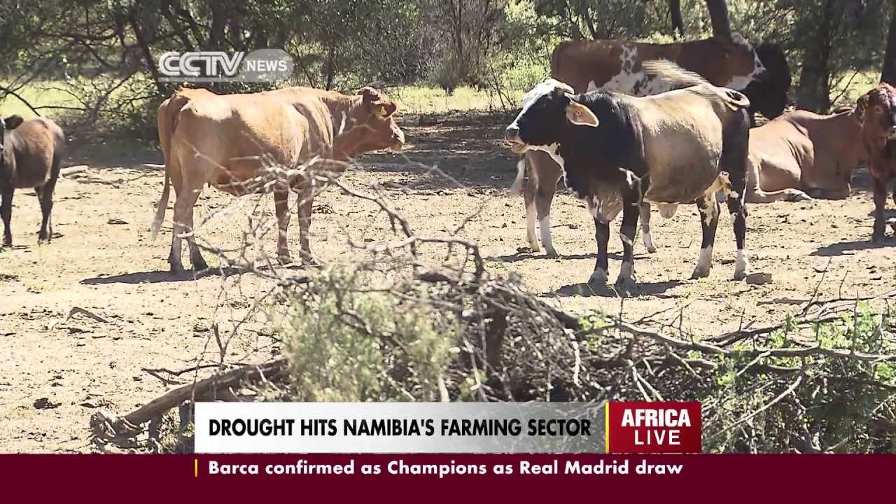 Namibia Faces Worst Drought in 14 years - YouTube
