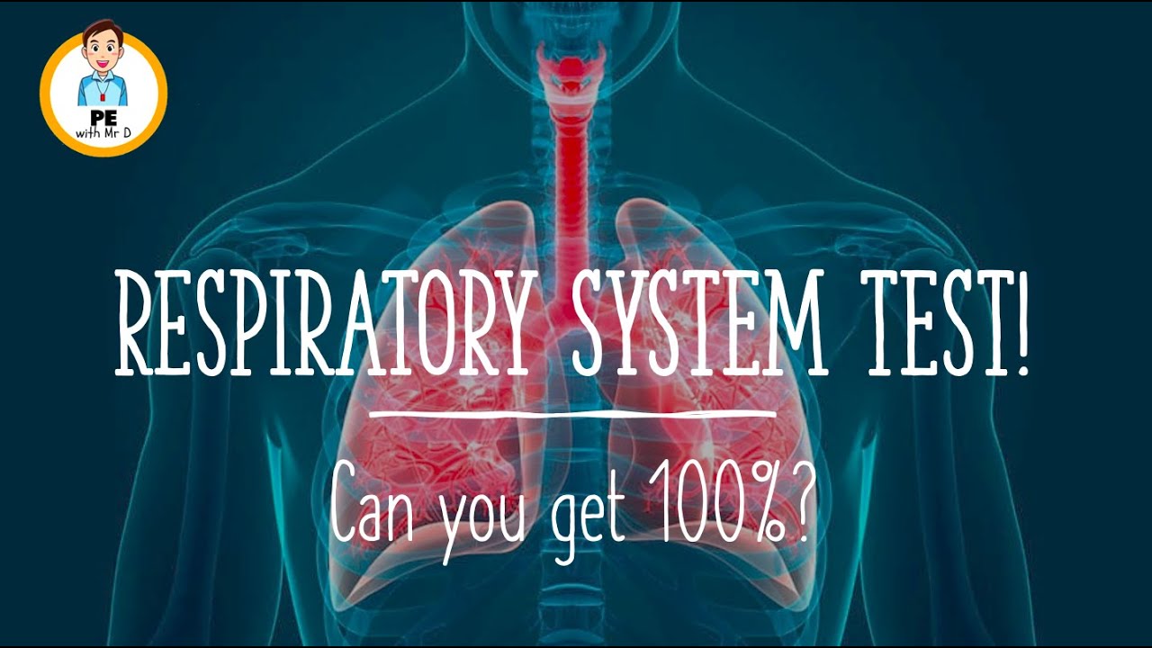 QUIZ: Anatomy of the Respiratory System! Can you get 100%? - YouTube