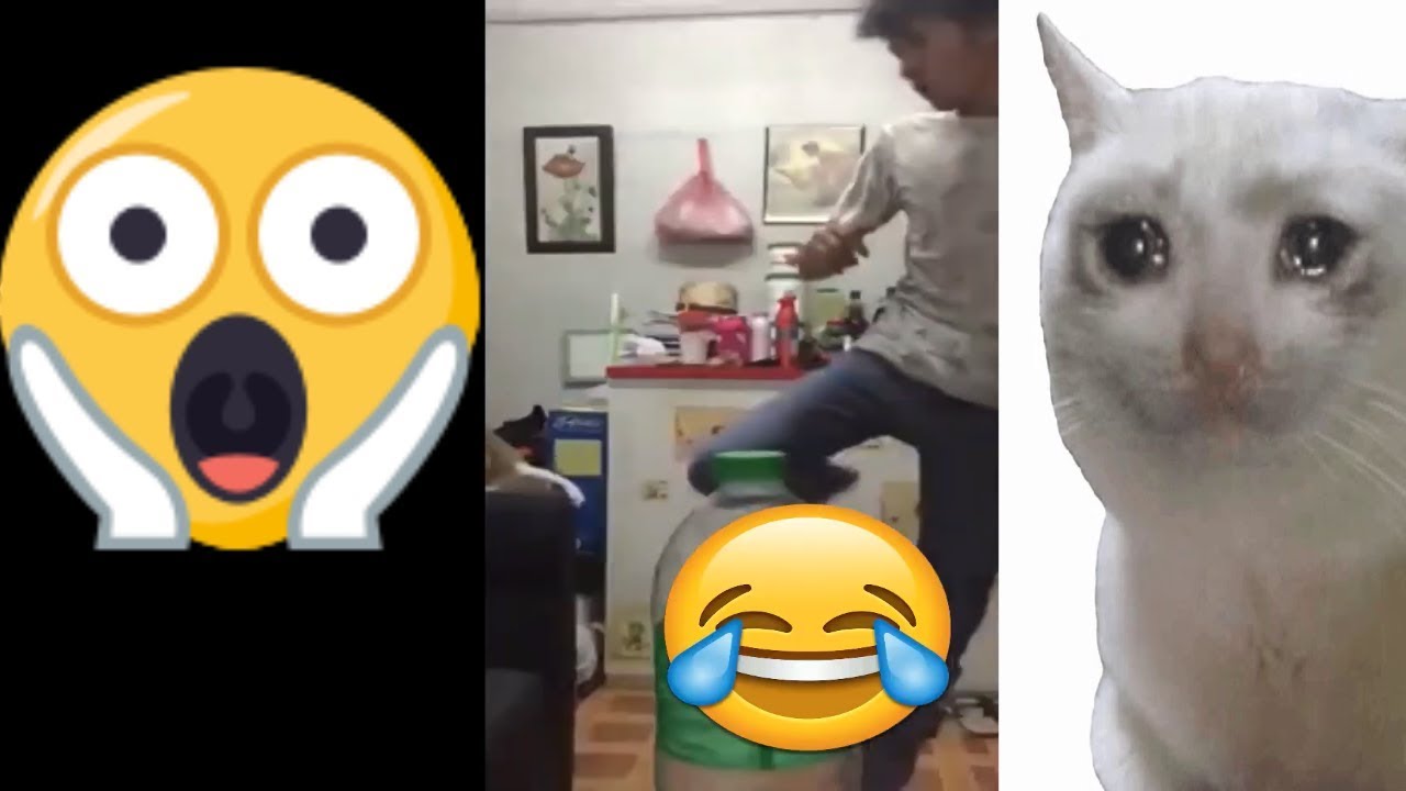 Funny Cat Fail | Funny Bottle-Cap-Kick Challenge Fail - YouTube