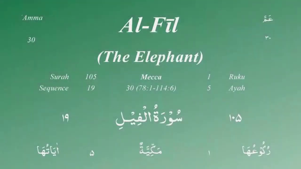 105) Surah Al Fil by Mishary Rashid Al Afasy with Arabic, English Subs ...