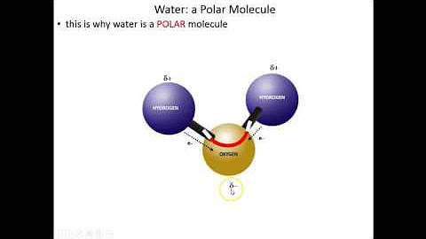 Biochemistry Lectures - YouTube