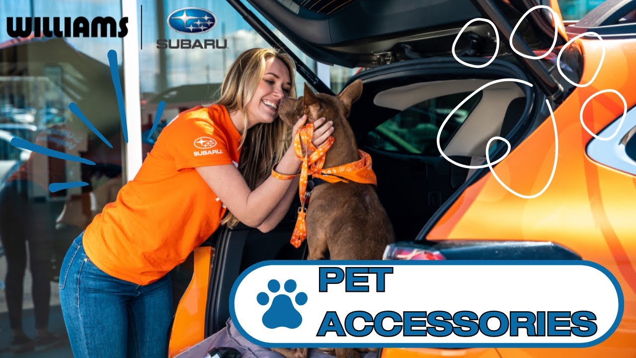 Subaru Pet Accessories: Keep Your Furry Friend Safe & Comfortable ...
