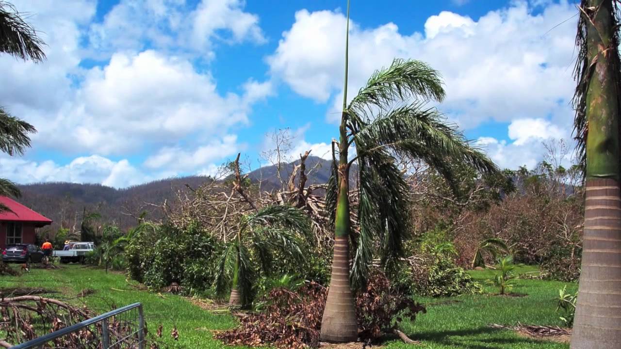 Bilyana born again after TC Yasi - YouTube