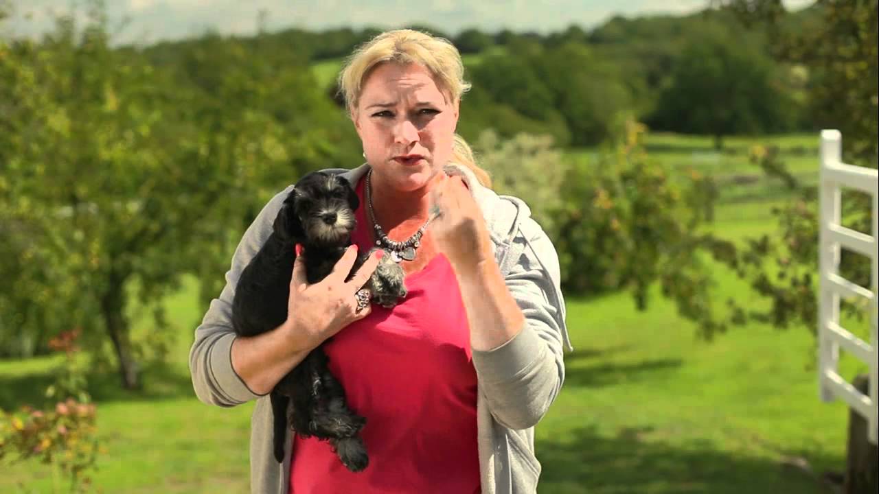 Puppy Dog Training DVD Overview - The complete guide to Puppy Training ...