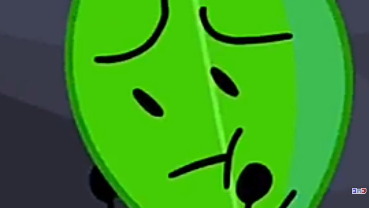 How much did Leafy suffer? | BFDI Pain - YouTube