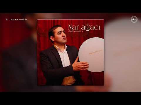 Abgül Mirzəliyev — Nar Ağacı
