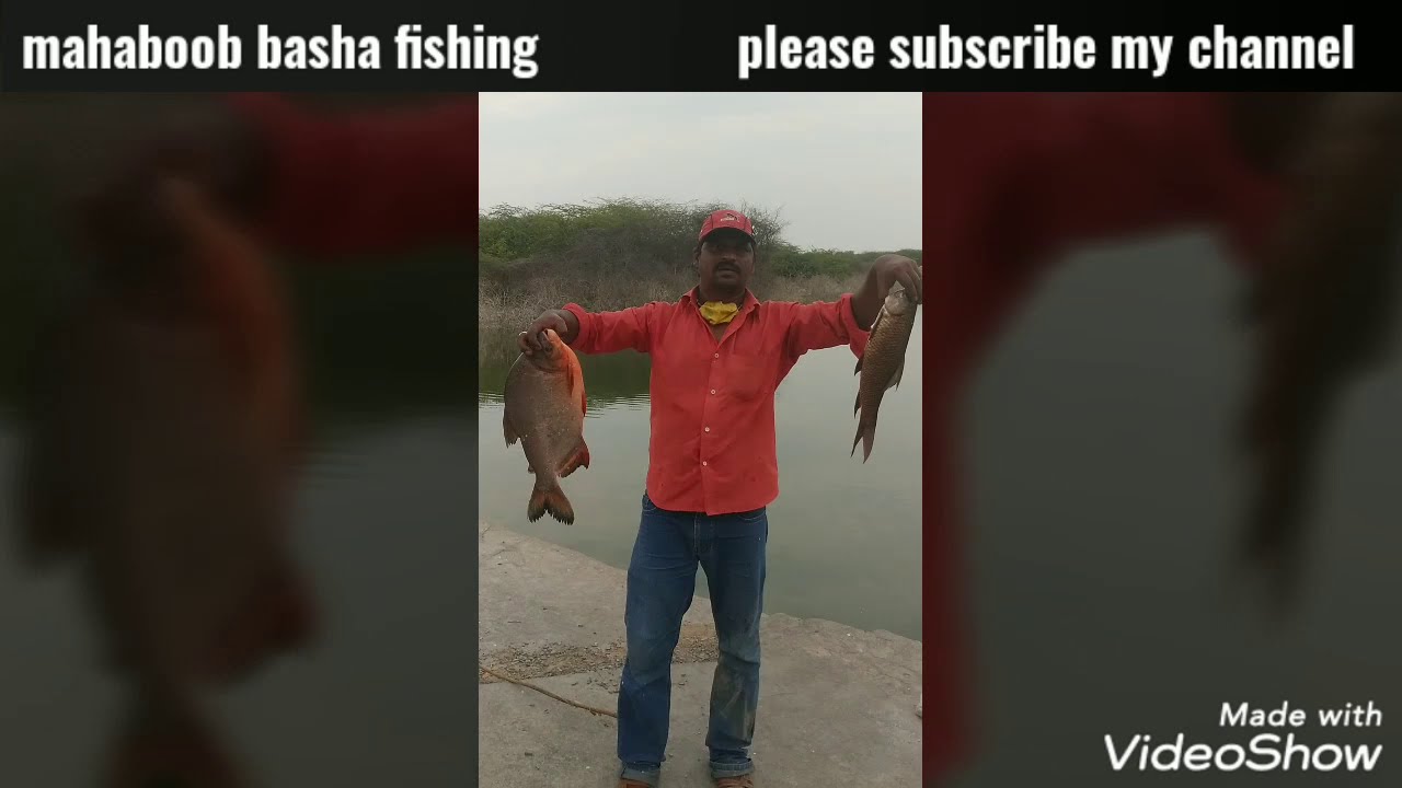 Rup chand , Rohu , Tilapia fishing || MBF channel - YouTube