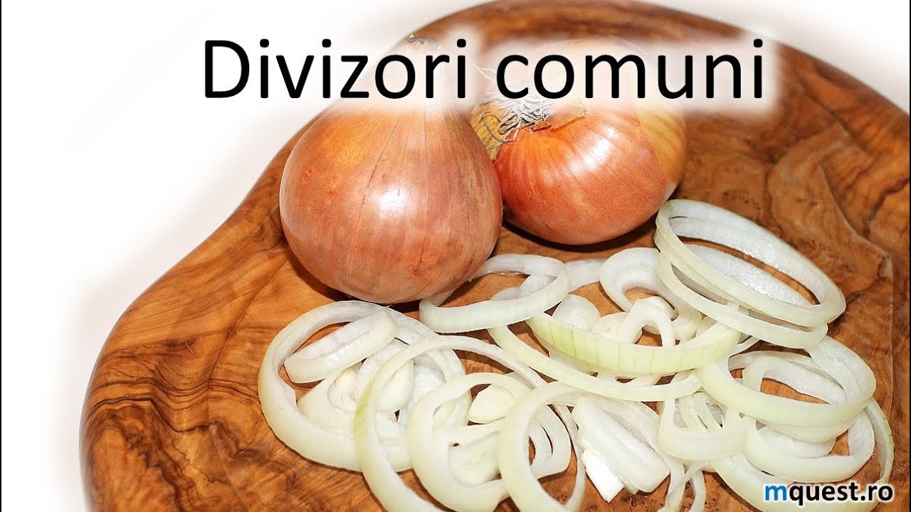 Divizori comuni, divizibilitate clasa a V-a - YouTube