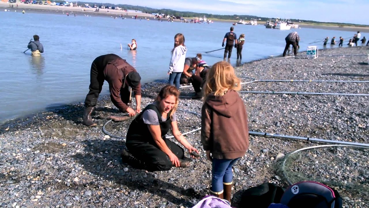 Dip netting in Kasilof Alaska - YouTube
