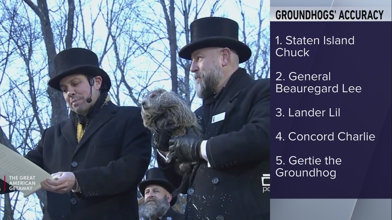 Which groundhogs have proven to be the most accurate weather ...