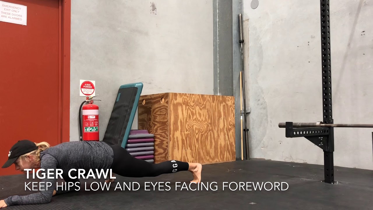 Tiger Crawl - YouTube