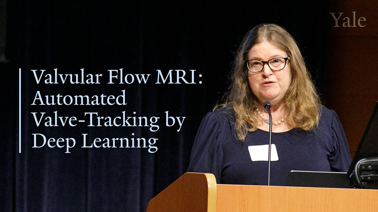 AI in Medicine: Valvular Flow MRI - Automated Valve-Tracking by Deep ...